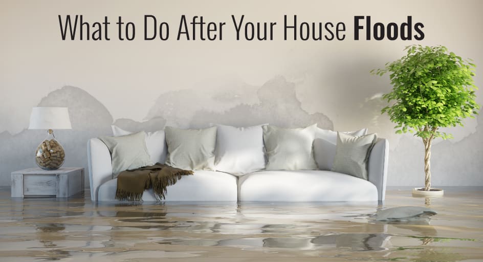 What to Do When Your House Floods [4 main steps]